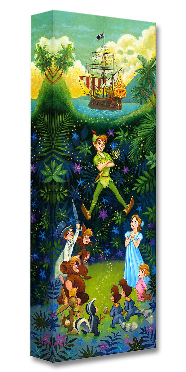 Dessins Originaux De Peter Pan Loisel Estampe Pigmentaire Peter